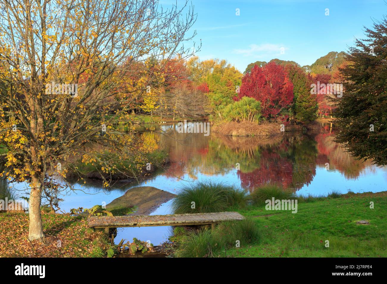 Informal garden hi-res stock photography and images - Alamy