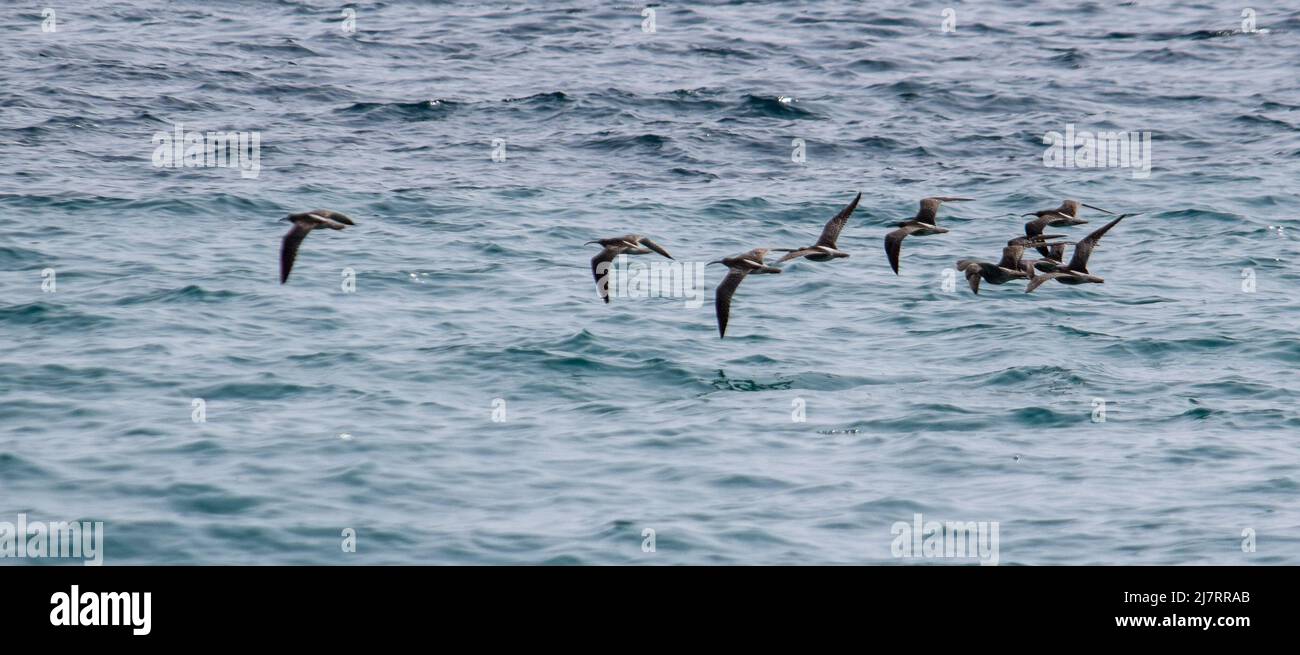 Vault Beach 290422 Stock Photo - Alamy