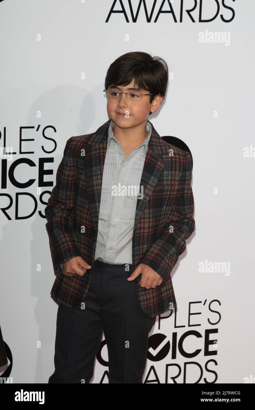 LOS ANGELES - JAN 8: Blake Garrett Rosenthal at the People's Choice ...