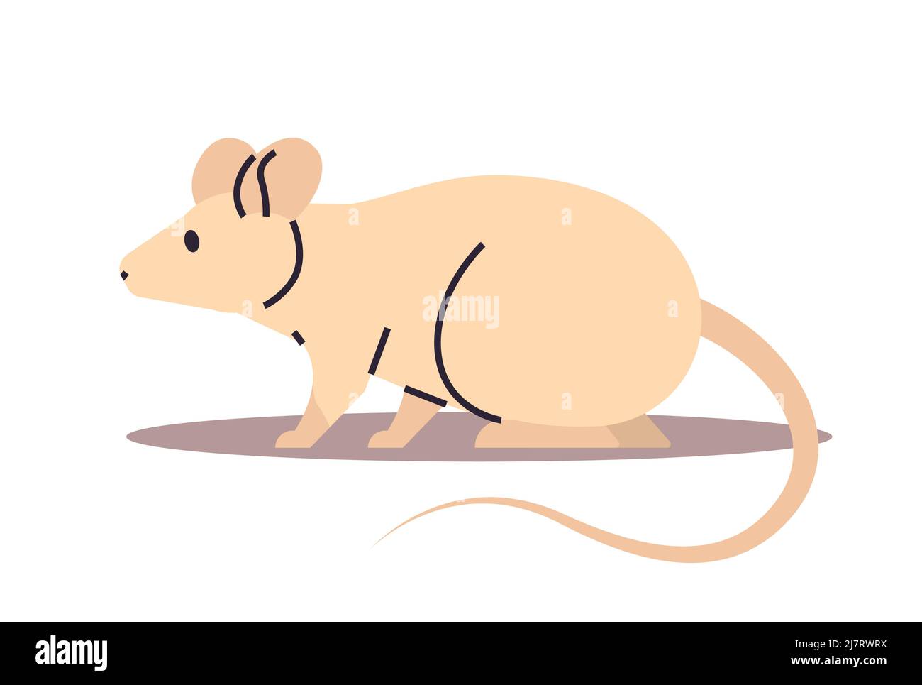 cute rat funny cartoon animal isolated full length Stock Vector Image ...