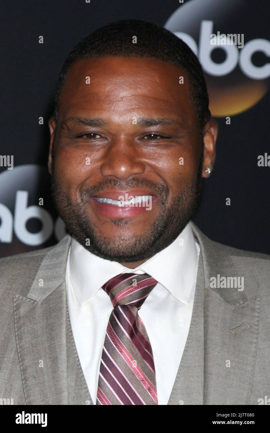 LOS ANGELES - JUL 15: Anthony Anderson at the ABC July 2014 TCA at ...