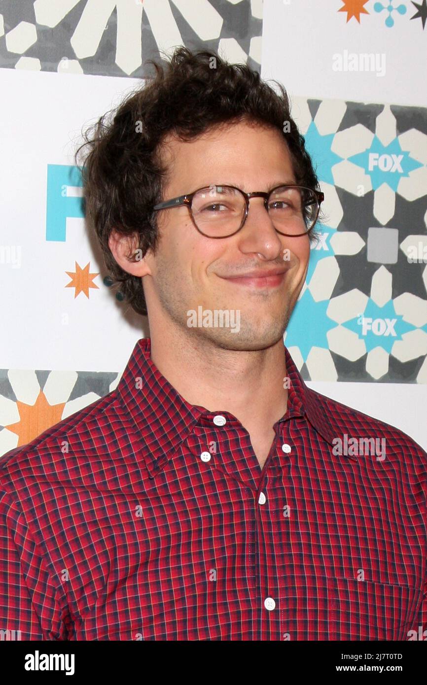 Andy Samberg Short Hair
