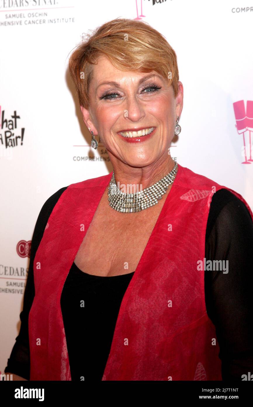 LOS ANGELES - MAY 31: Amanda McBroom at the "What a Pair" 10th Anniv ...