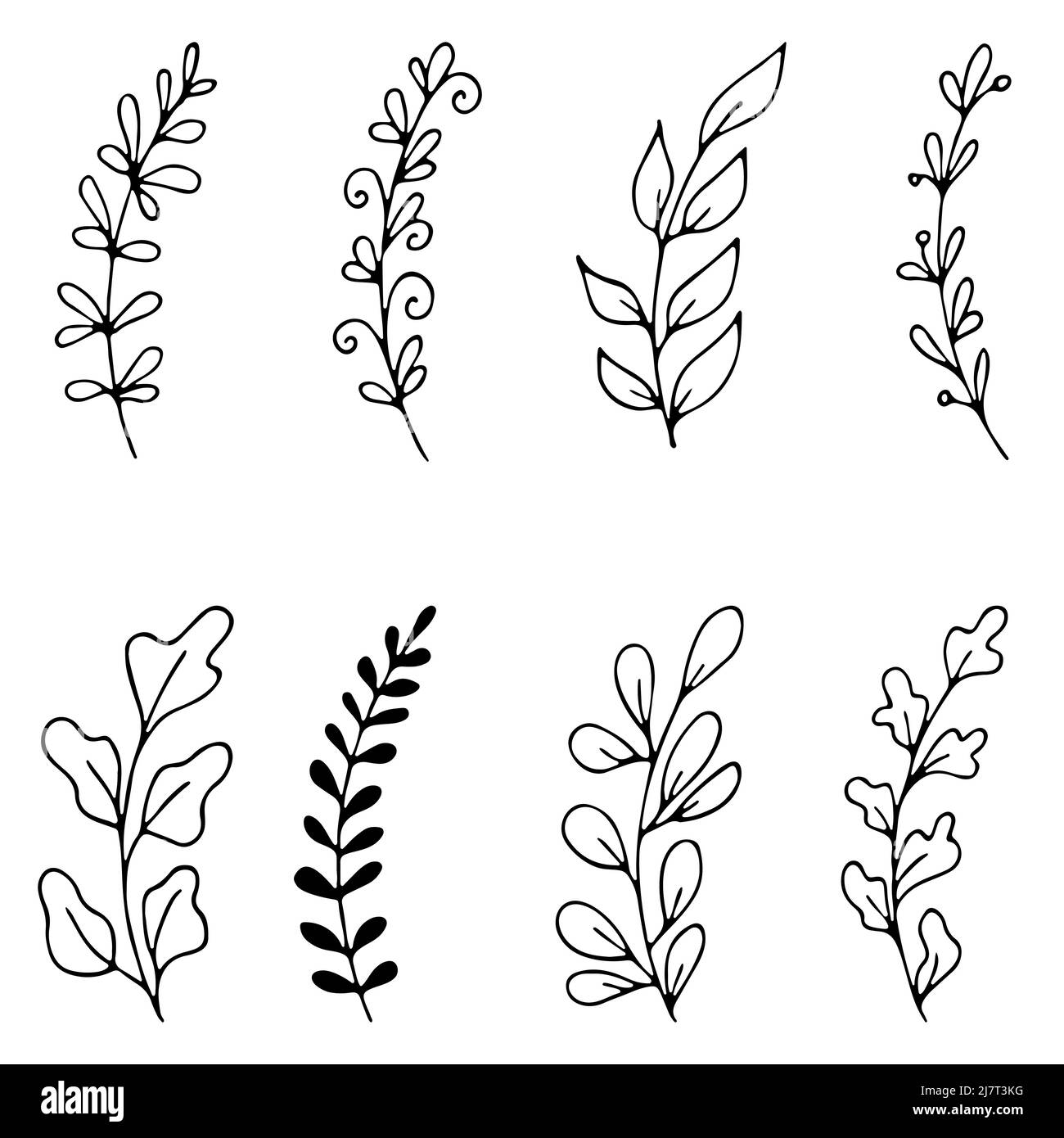 Set of hand drawn doodle tree branches with leaves on white background ...