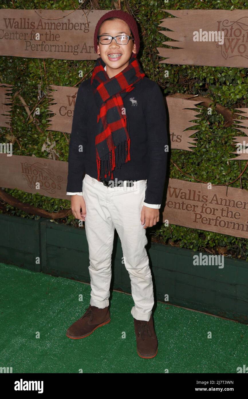 LOS ANGELES - DEC 3: Sean Le at the Opening night of Oregon Shakespeare ...