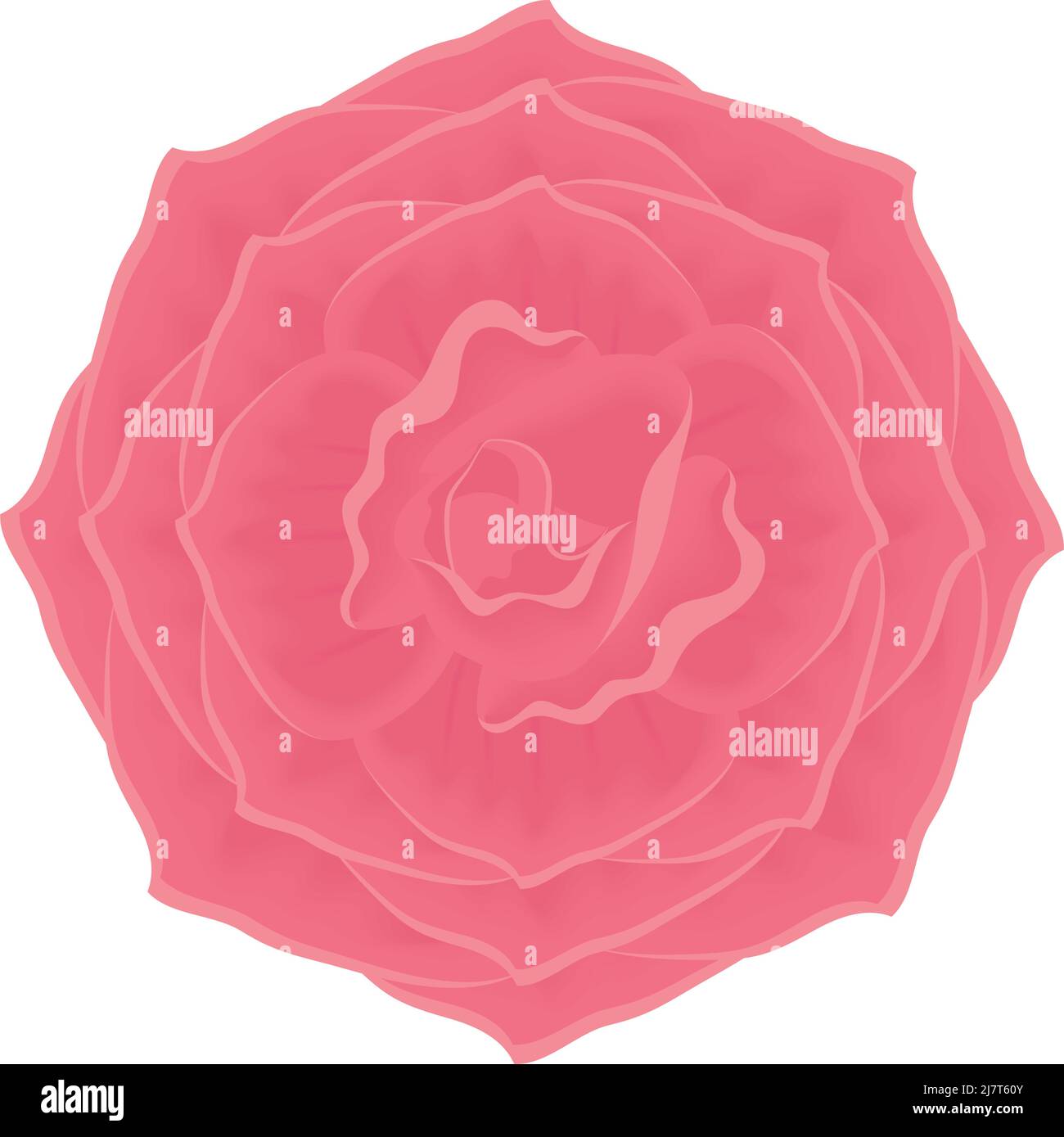 red rose flower garden nature icon Stock Vector Image & Art - Alamy