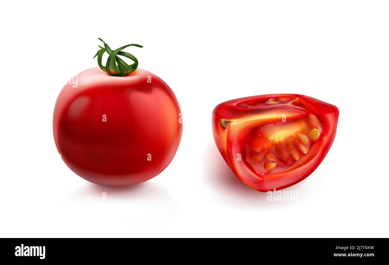 Tomato cherry, red tomatoes whole and slice with green stalk, realistic vector illustration ...