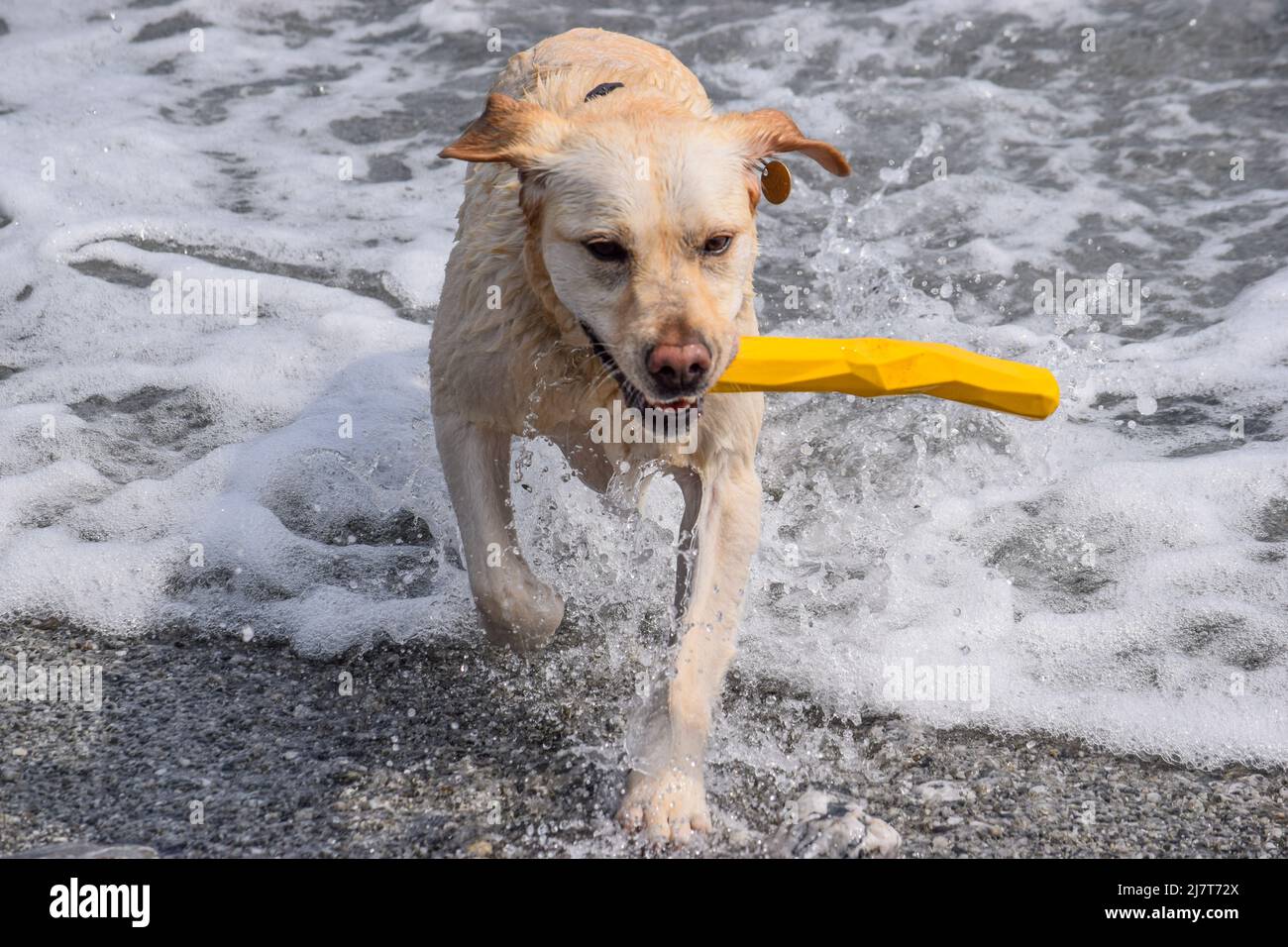 Vault Beach 290422 Stock Photo - Alamy