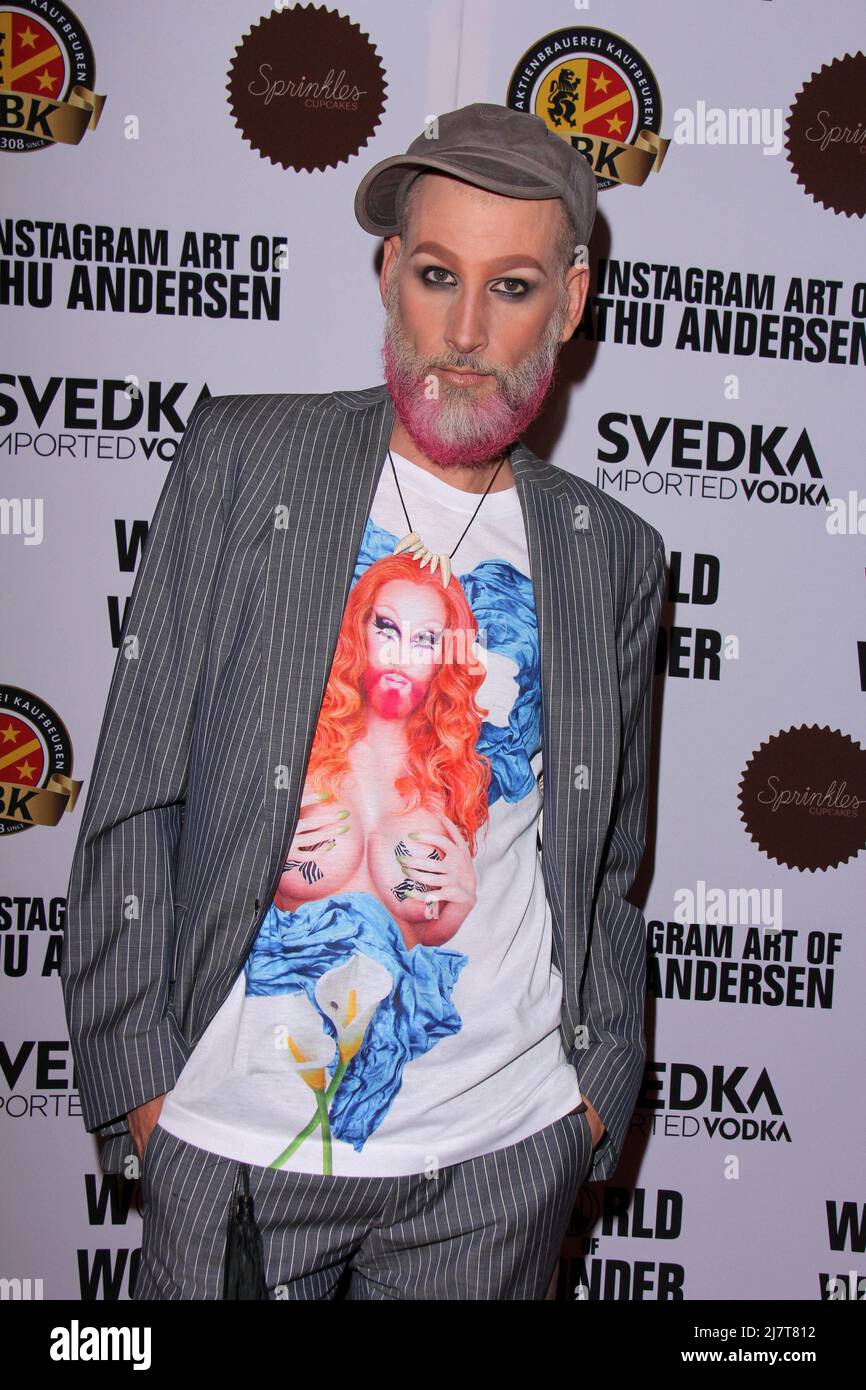 LOS ANGELES - NOV 13: Mathu Andersen at the The Instagram Art of Mathu ...