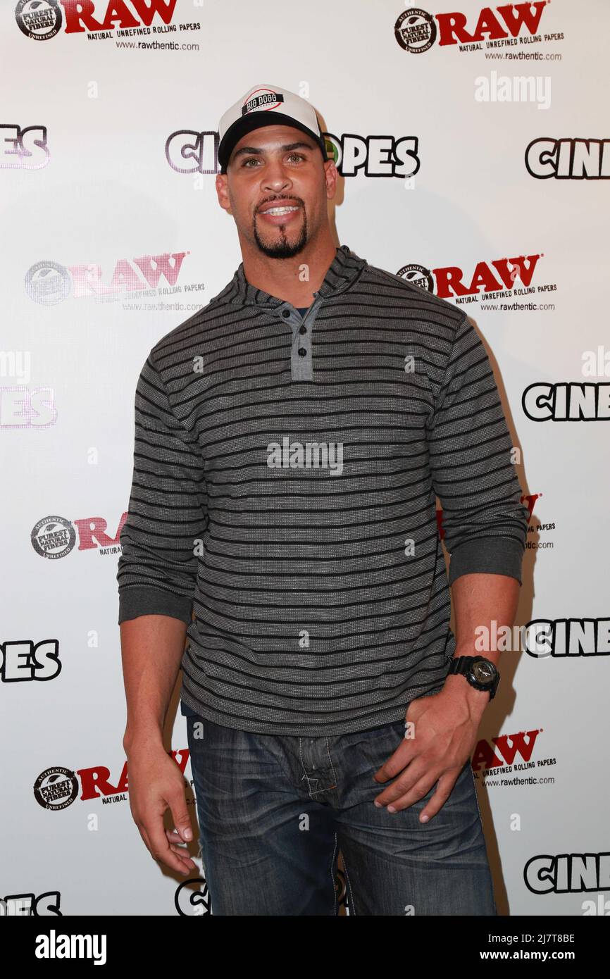 LOS ANGELES - NOV 18: Jason Scott Jenkins at the CineDopes Web Series ...