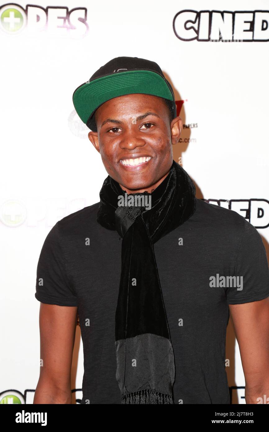 LOS ANGELES - NOV 18: Cedric L WIlliams at the CineDopes Web Series ...