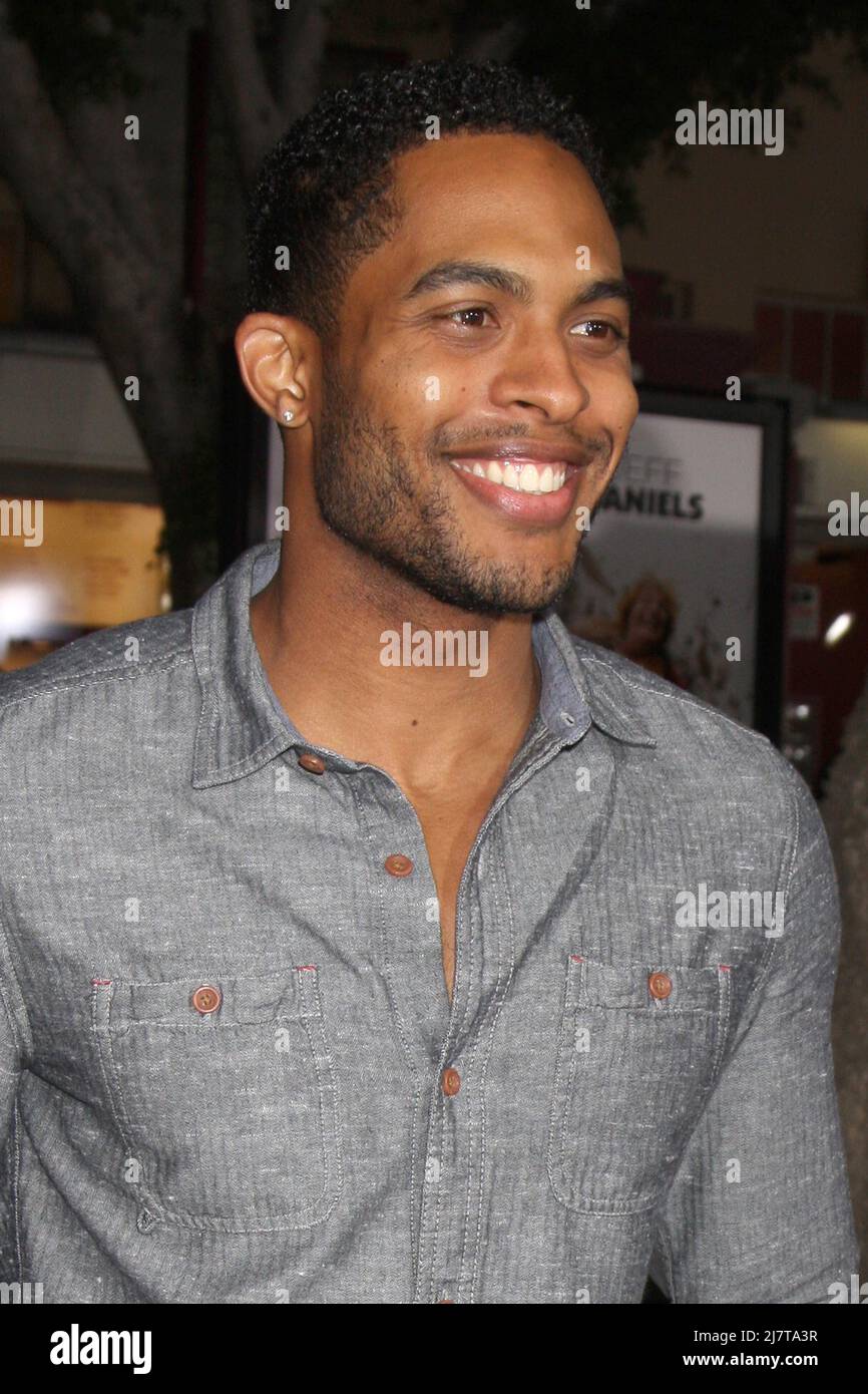 LOS ANGELES - NOV 3: Brandon P Bell at the Dumb and Dumber To Premiere at the Village Theater on ...