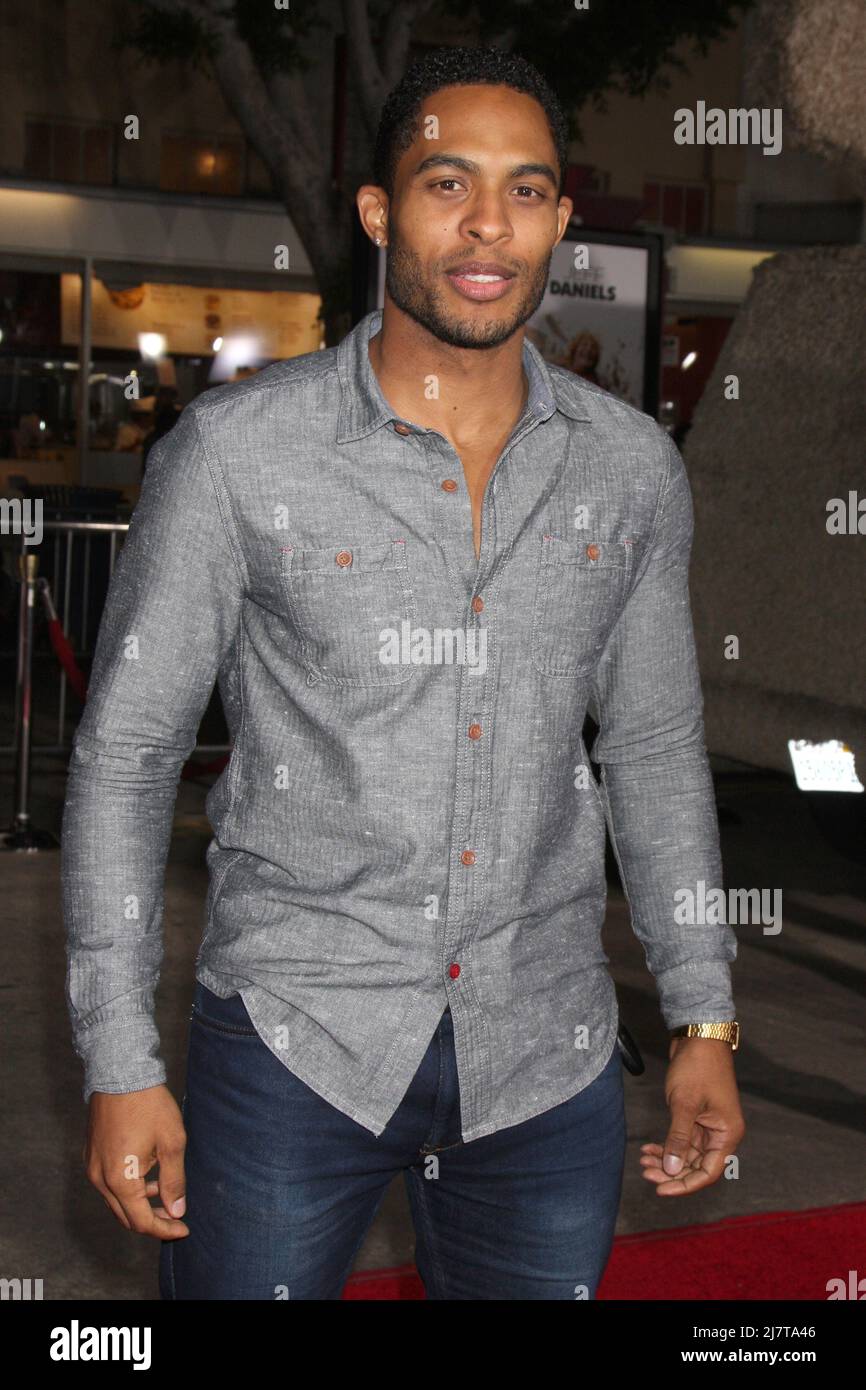 LOS ANGELES - NOV 3: Brandon P Bell at the Dumb and Dumber To Premiere ...