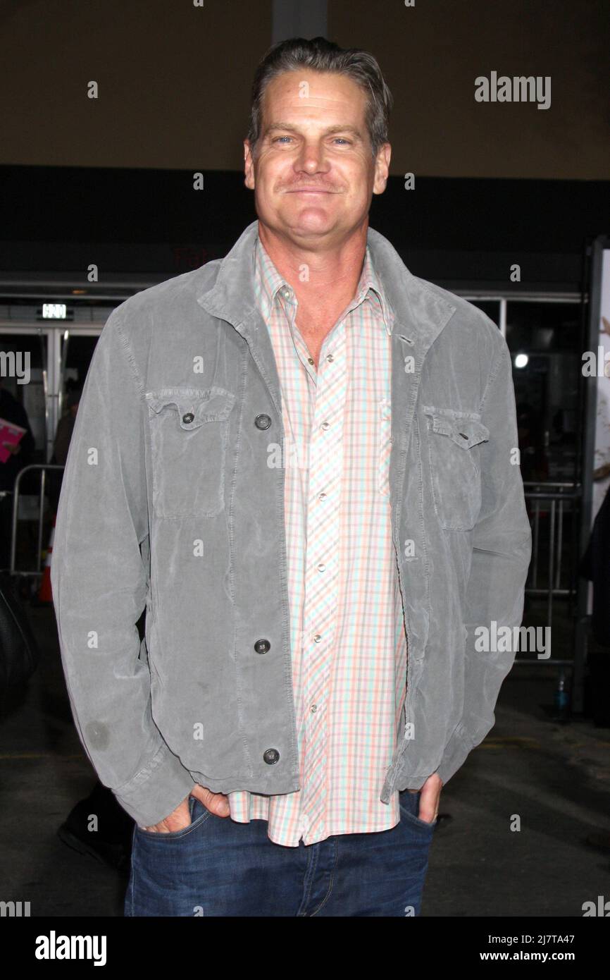 LOS ANGELES - NOV 3: Brian Van Holt at the Dumb and Dumber To Premiere ...