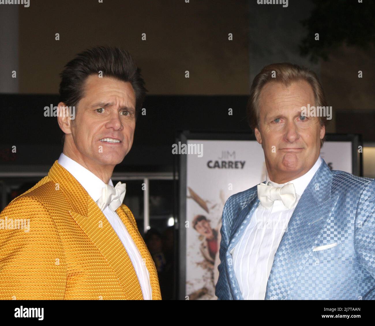 LOS ANGELES - NOV 3: Jim Carrey, Jeff Daniels at the Dumb and Dumber To ...