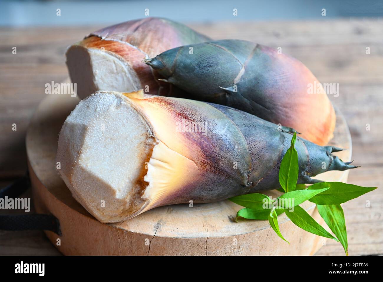 Bamboo shoots on wooden table background, Fresh raw bamboo shoot for ...