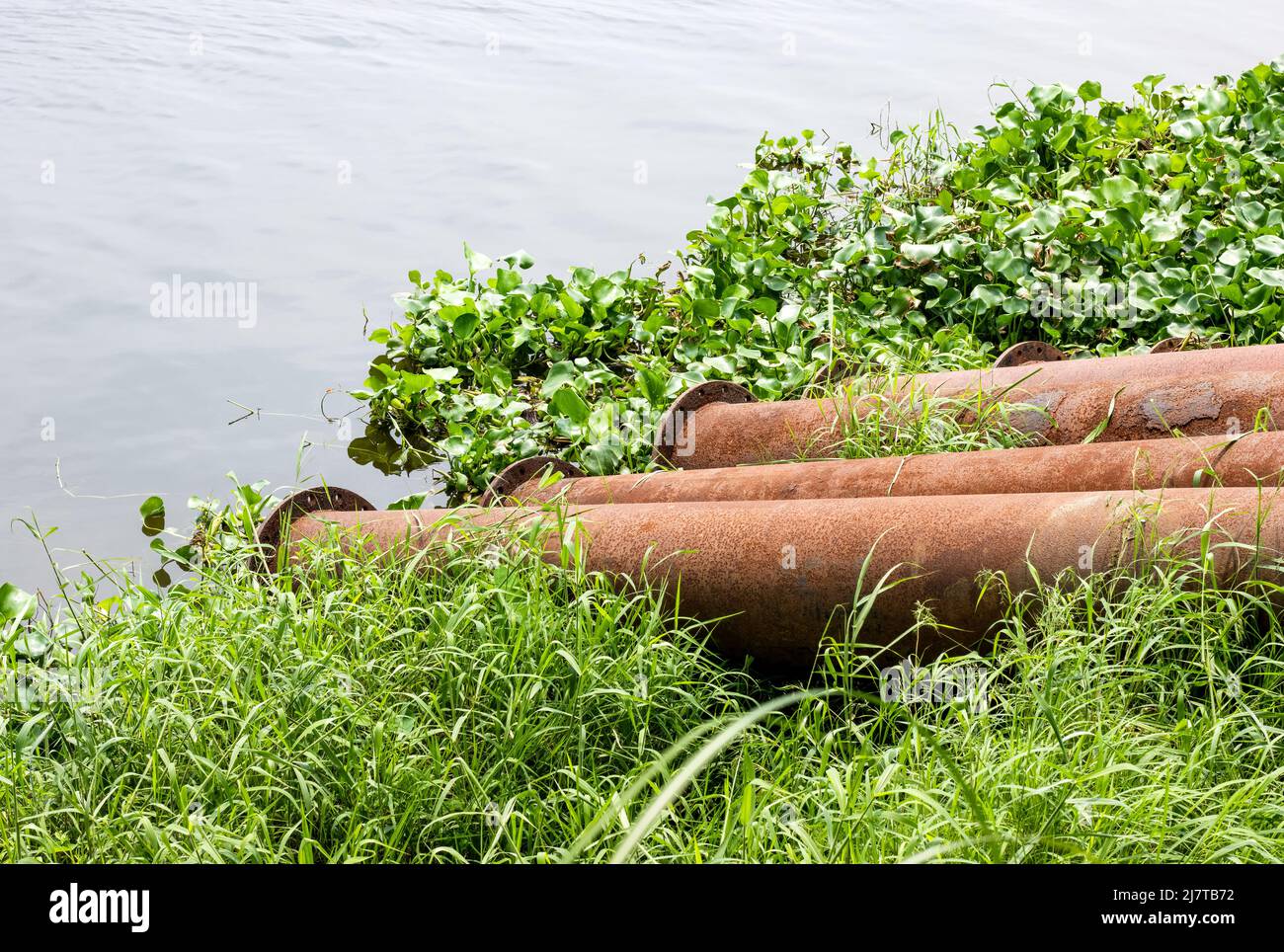 Stored old dredging pipes on the riverbank close up shot Stock Photo ...