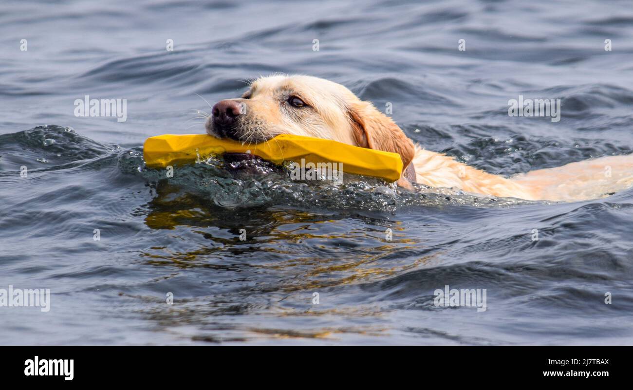 Vault Beach 290422 Stock Photo - Alamy