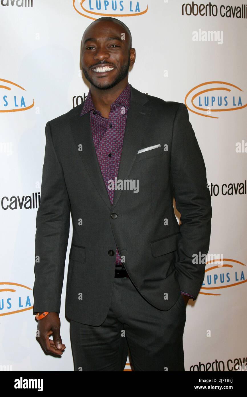 LOS ANGELES - NOV 21: B.J. Britt at the Lupus LA Bag Ladies Luncheon at ...