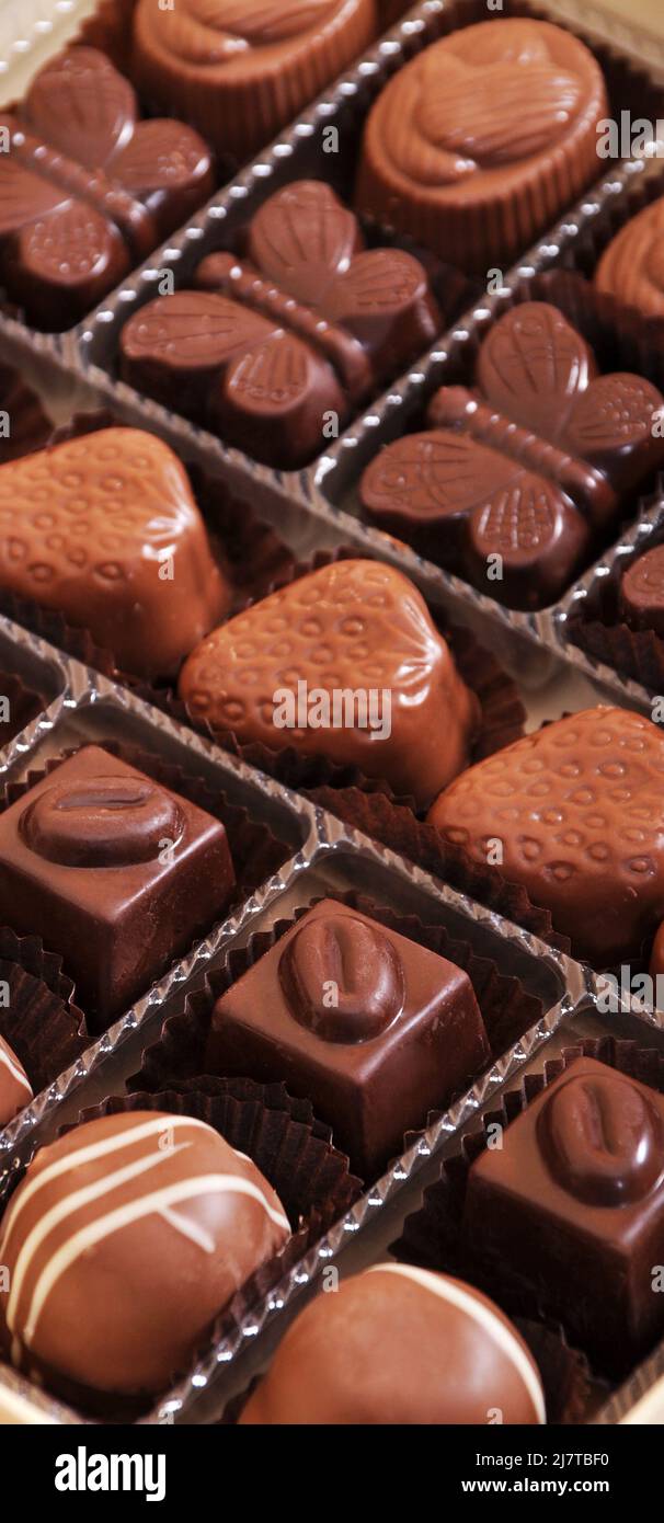 Very delicious chocolate candies in a box, delicious chocolate in box ...