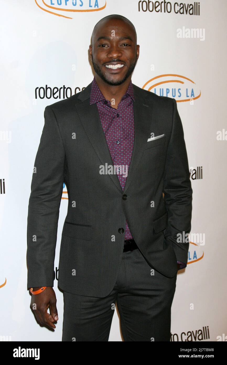 LOS ANGELES - NOV 21: B.J. Britt at the Lupus LA Bag Ladies Luncheon at ...