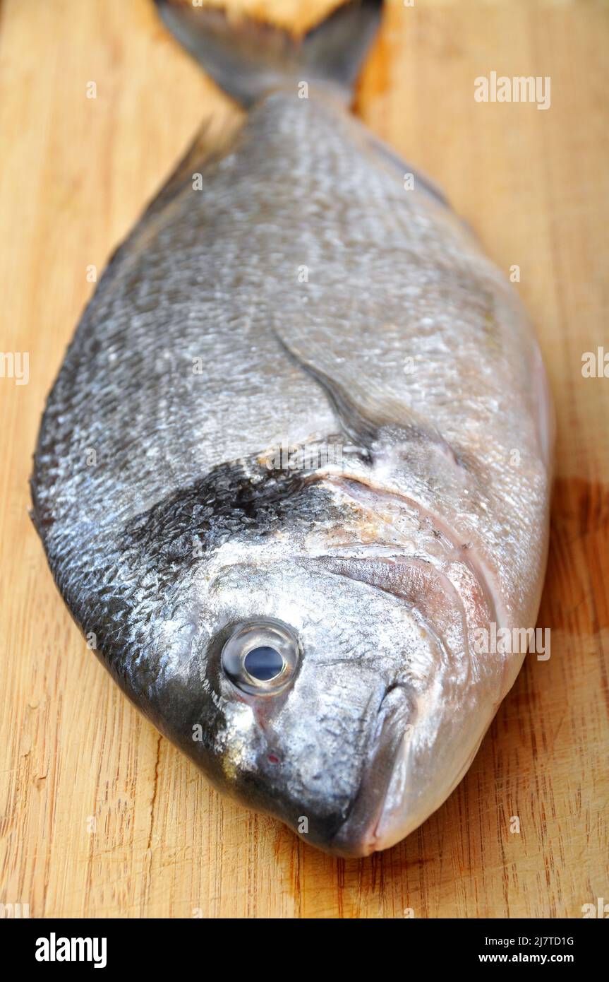 Cleaned and ready to cook fresh fish dorado, cipura cupra fish, on ...