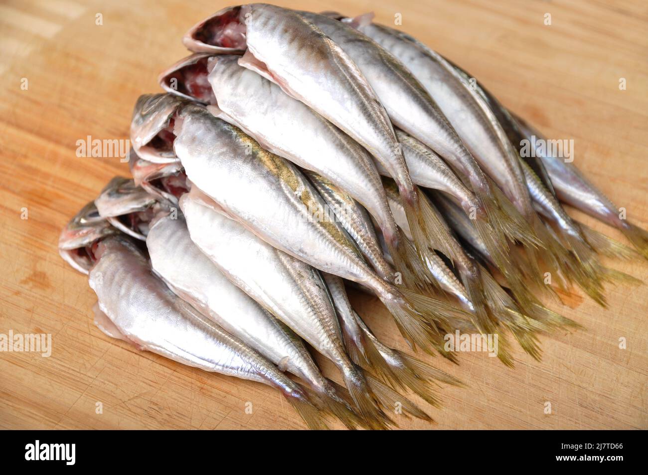 Cleaned and ready to cook fresh fish horse mackerel, istavrit fish, on ...