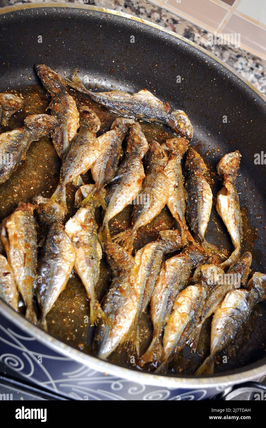 Delicious and beautiful fresh horse mackerel istavrit fish frying in a ...
