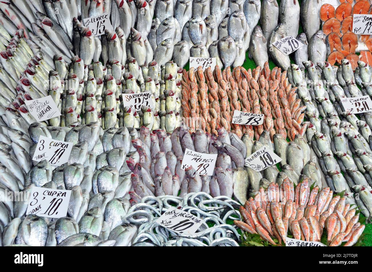 Clean fish are sold fresh at the fish market, fresh various fish for ...