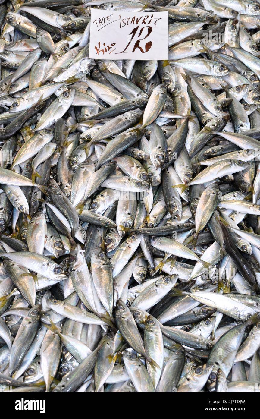 Clean fish are sold fresh at the fish market, fresh horse mackerel fish ...