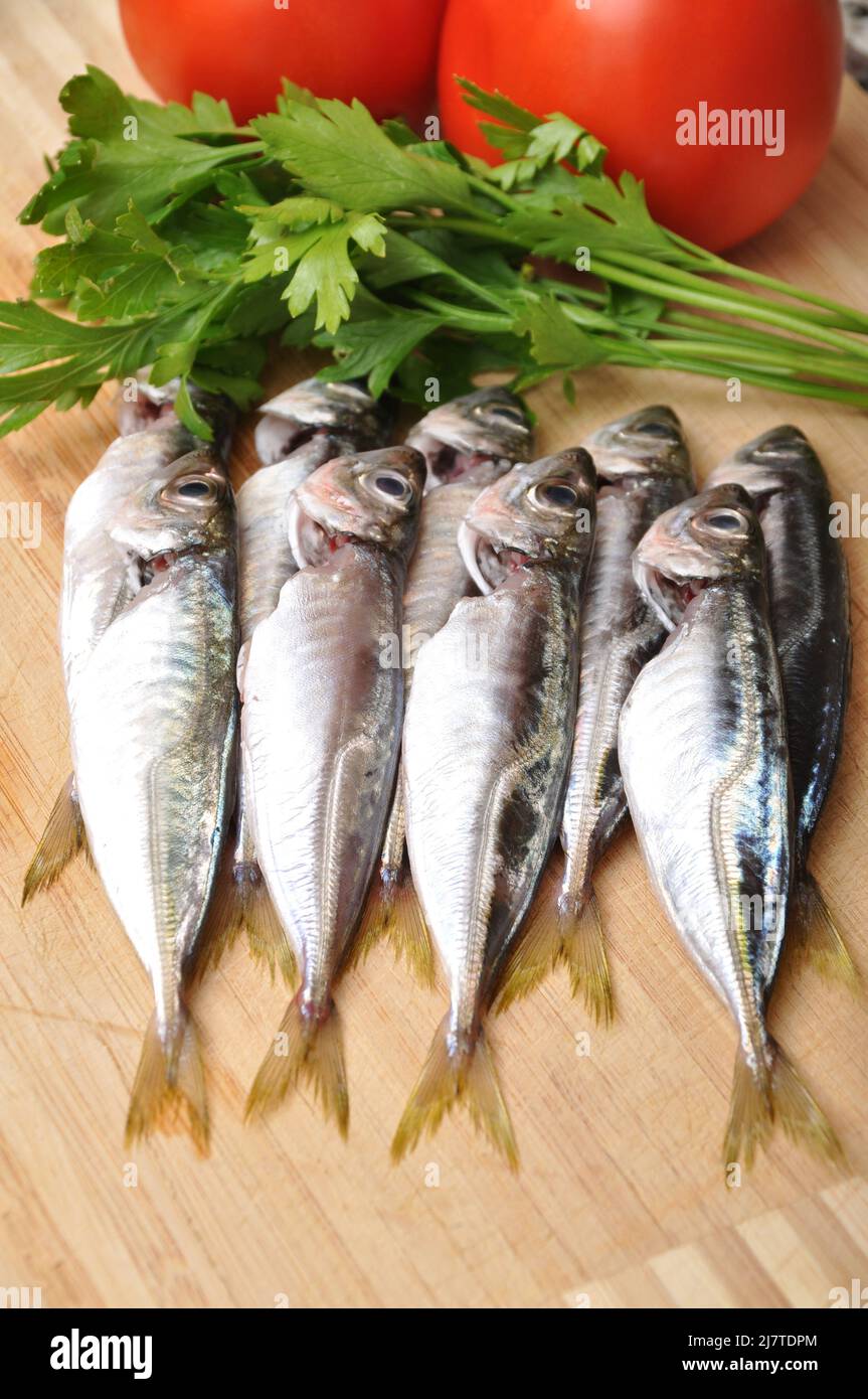 Cleaned and ready to cook fresh fish horse mackerel, istavrit fish ...