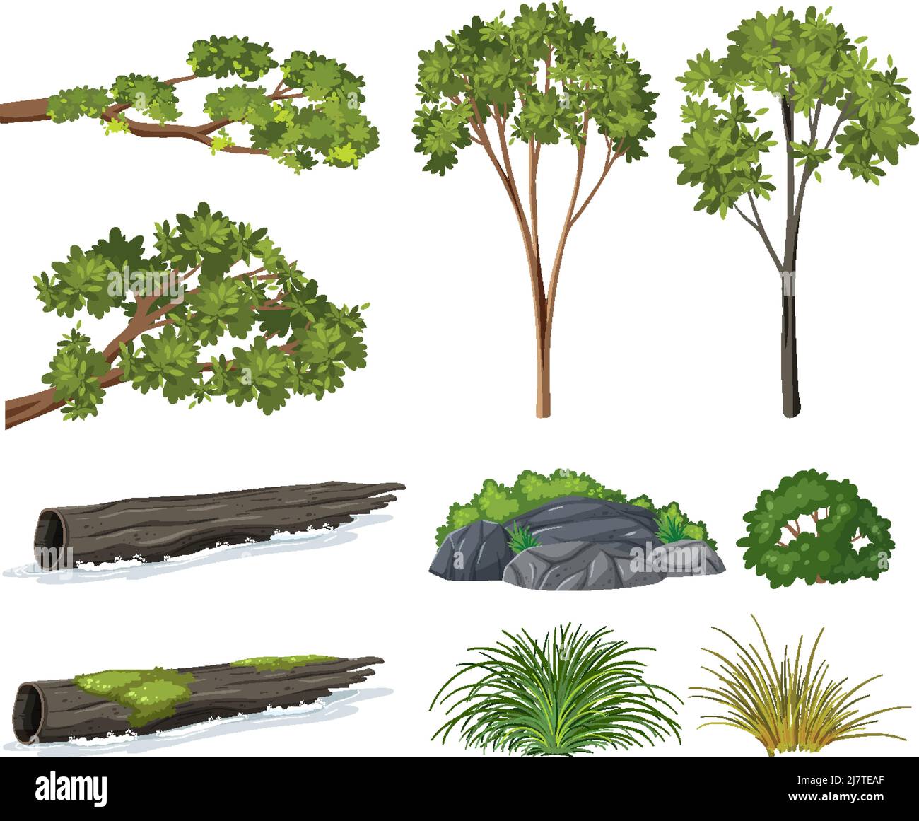 Isolated trees and nature objects set illustration Stock Vector Image ...