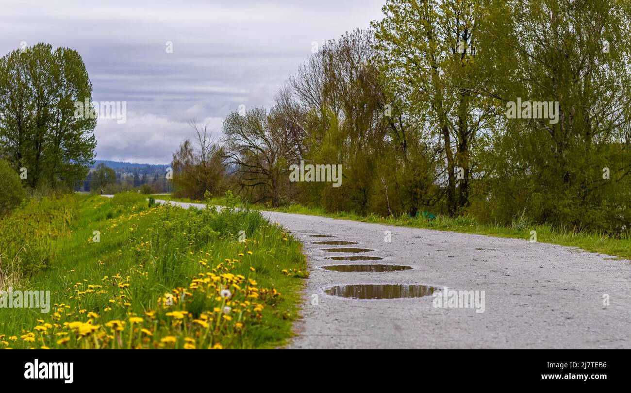 Rainy day. Walkway path in rural countryside of Canada. Trail in the ...