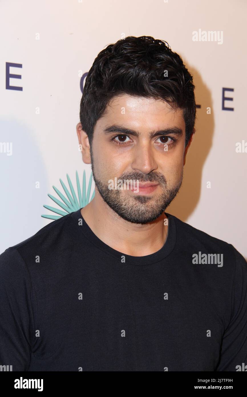 LOS ANGELES - OCT 23: Beejan Land at the De Re Gallery & Casamigos Host ...