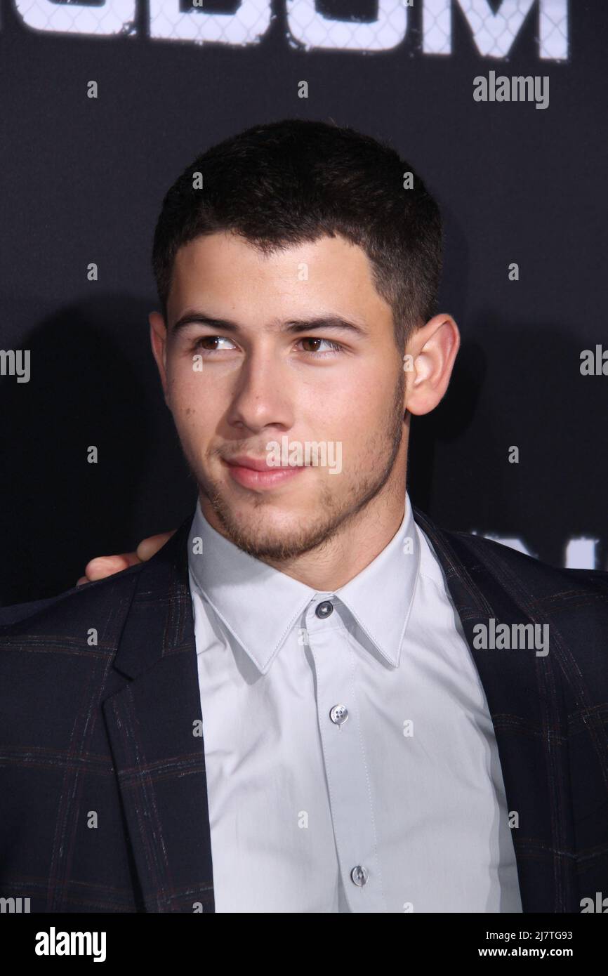 Nick Jonas Kingdom Promo