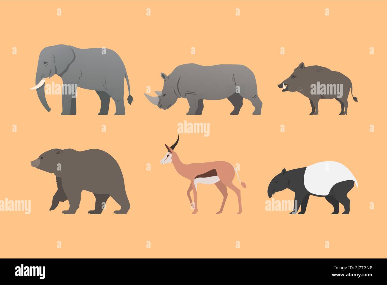 Gradient wild animals illustration Vector illustration Stock Vector ...