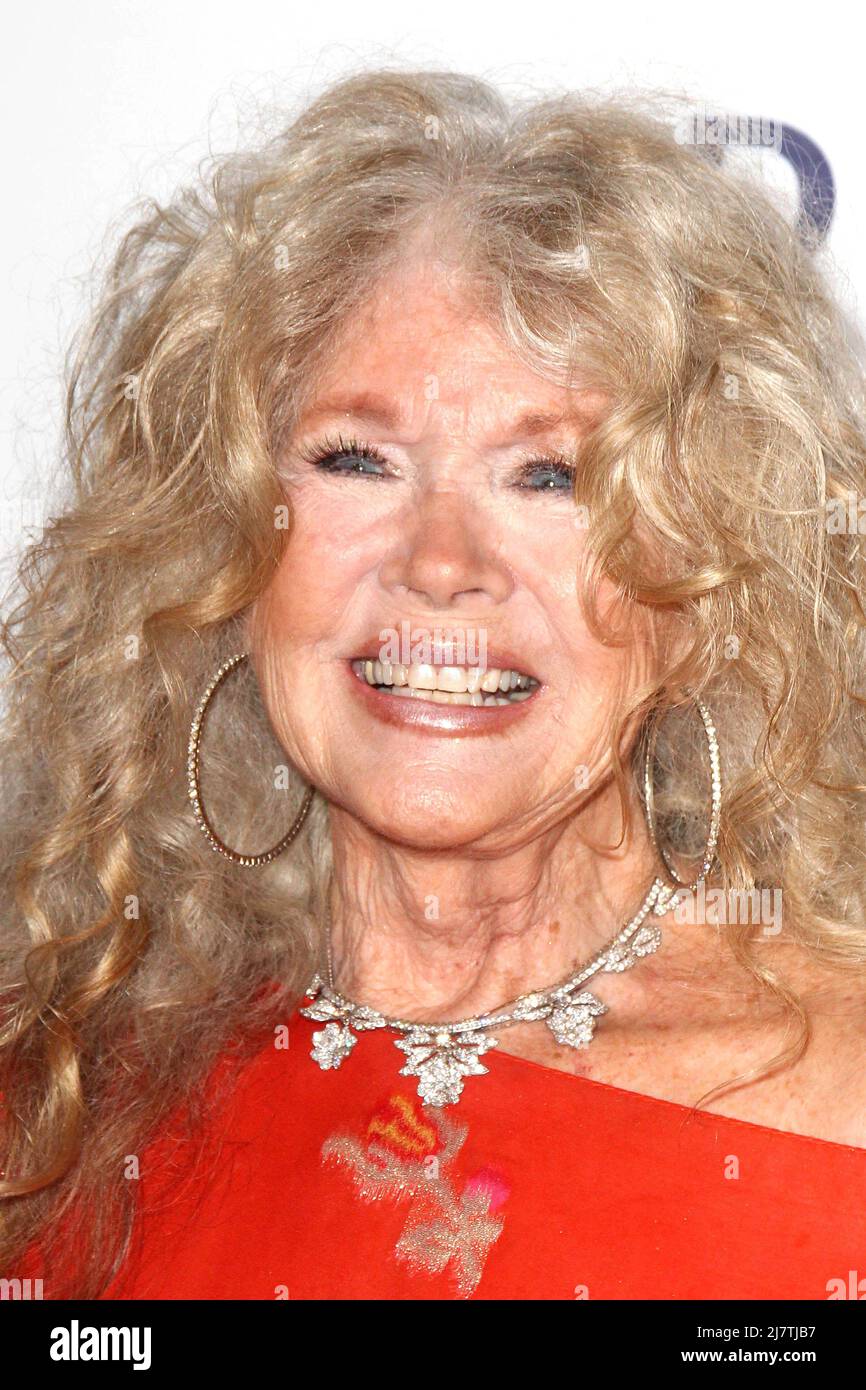 LOS ANGELES - OCT 11: Connie Stevens at the Children's Hospital Los ...