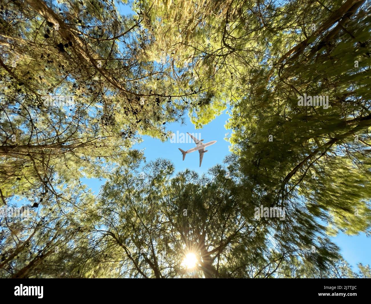Airplane flying above forest hi-res stock photography and images - Alamy