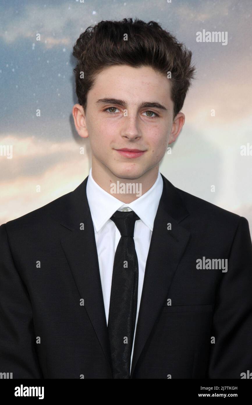 Thimothee chalamet hi-res stock photography and images - Alamy