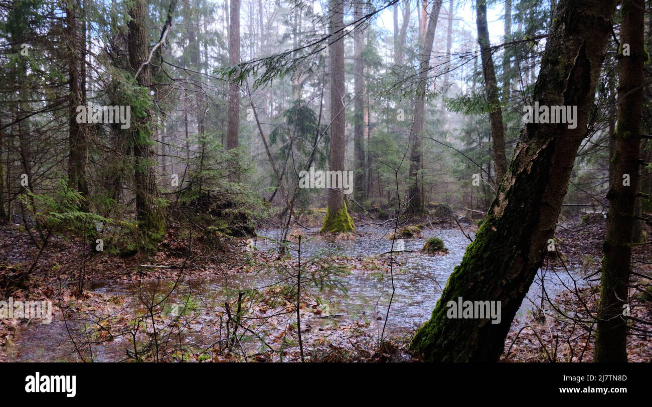 Seasonal rainfall hi-res stock photography and images - Alamy