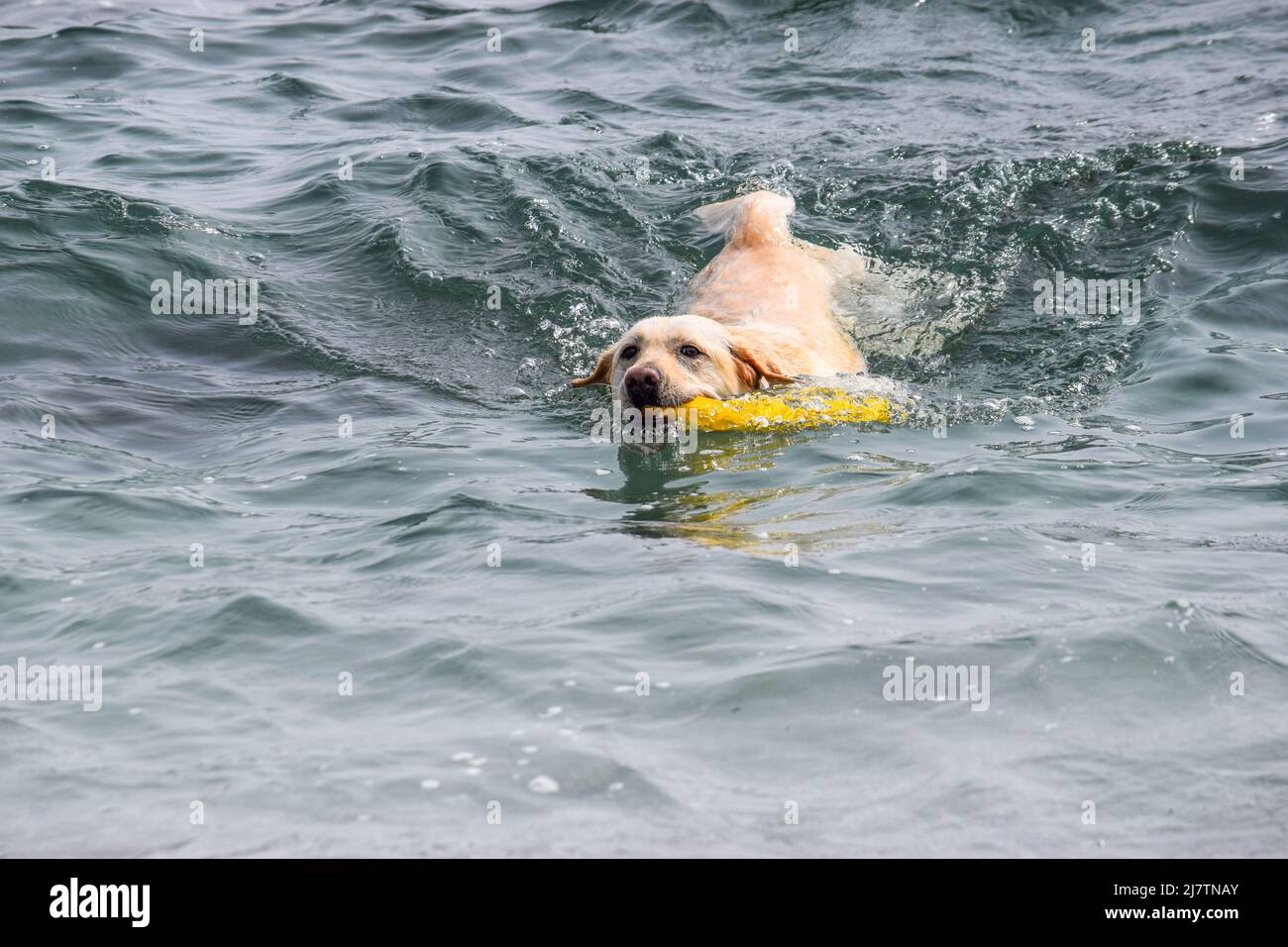Vault Beach 290422 Stock Photo - Alamy