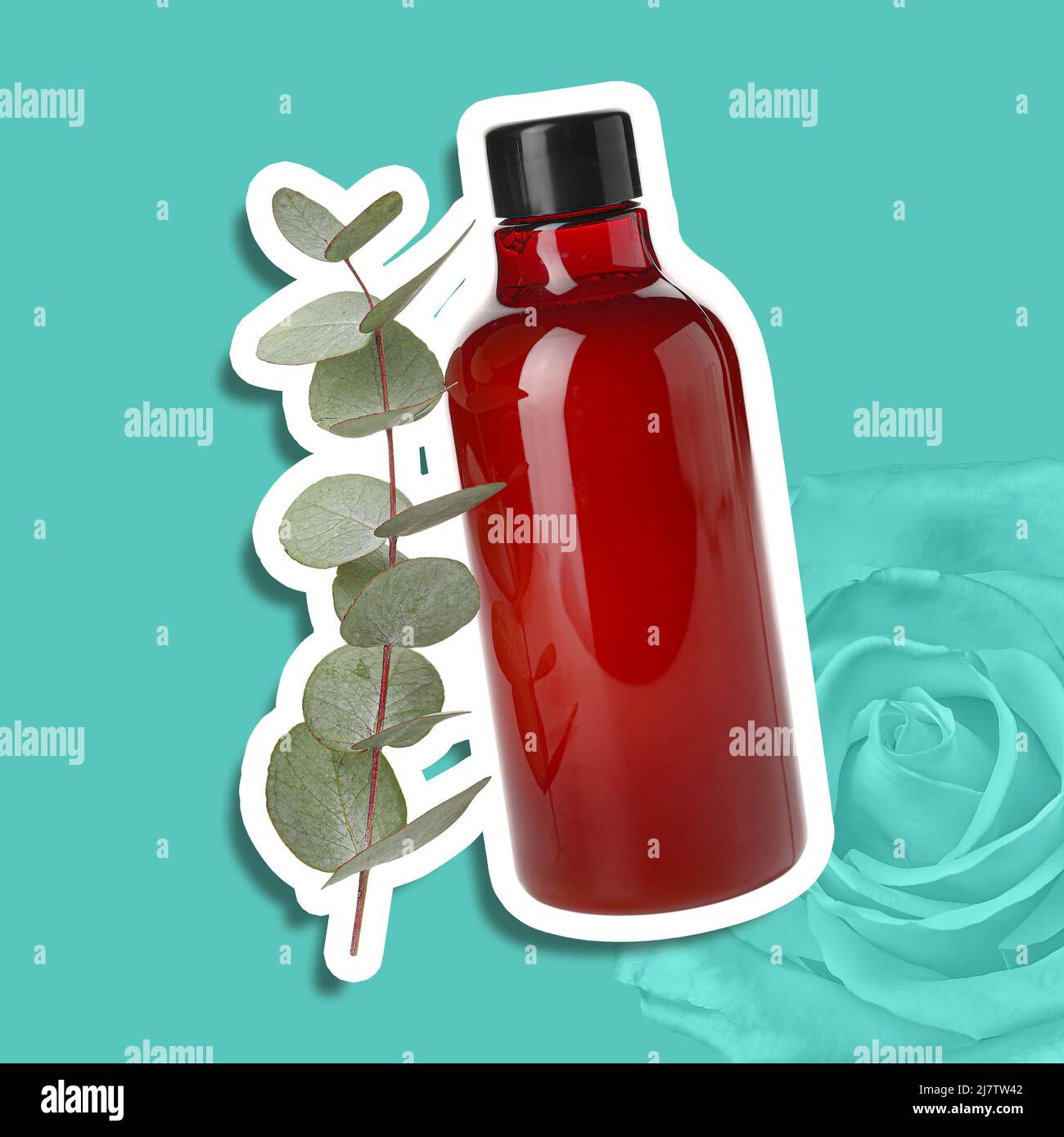 Bottle of natural shampoo with eucalyptus leaves and rose flower on ...