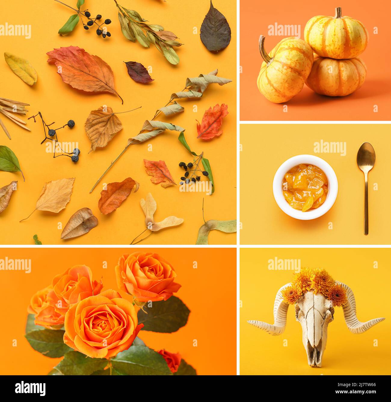 Citrus collage element hi-res stock photography and images - Alamy