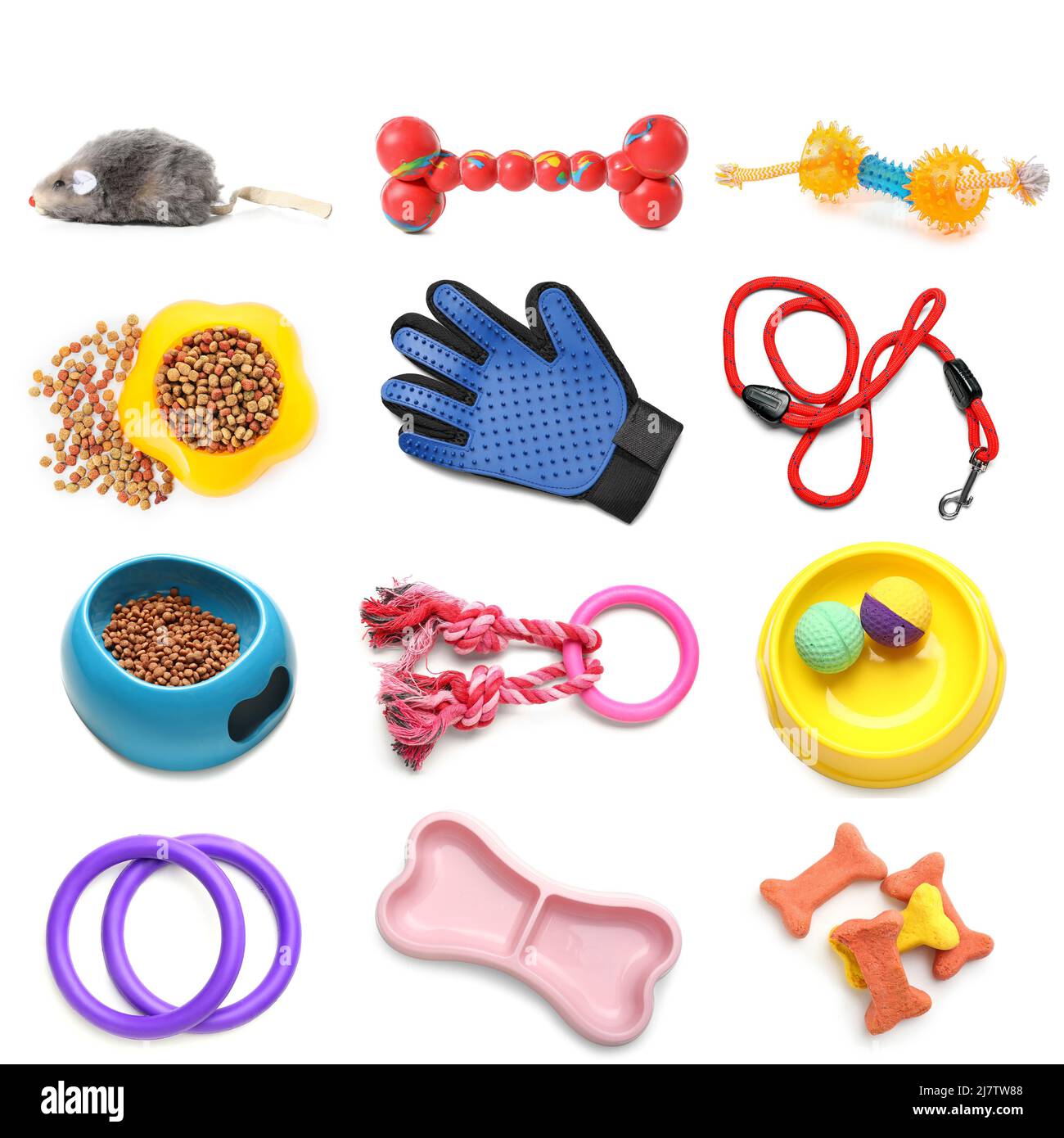 Set of different pet accessories on white background Stock Photo - Alamy