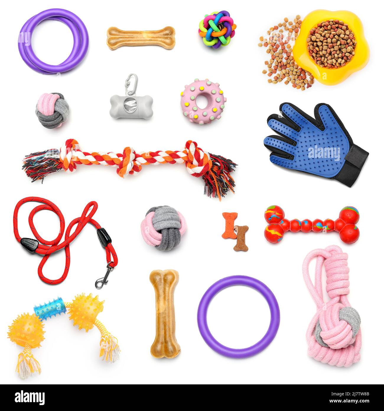 Set of different pet accessories on white background Stock Photo - Alamy