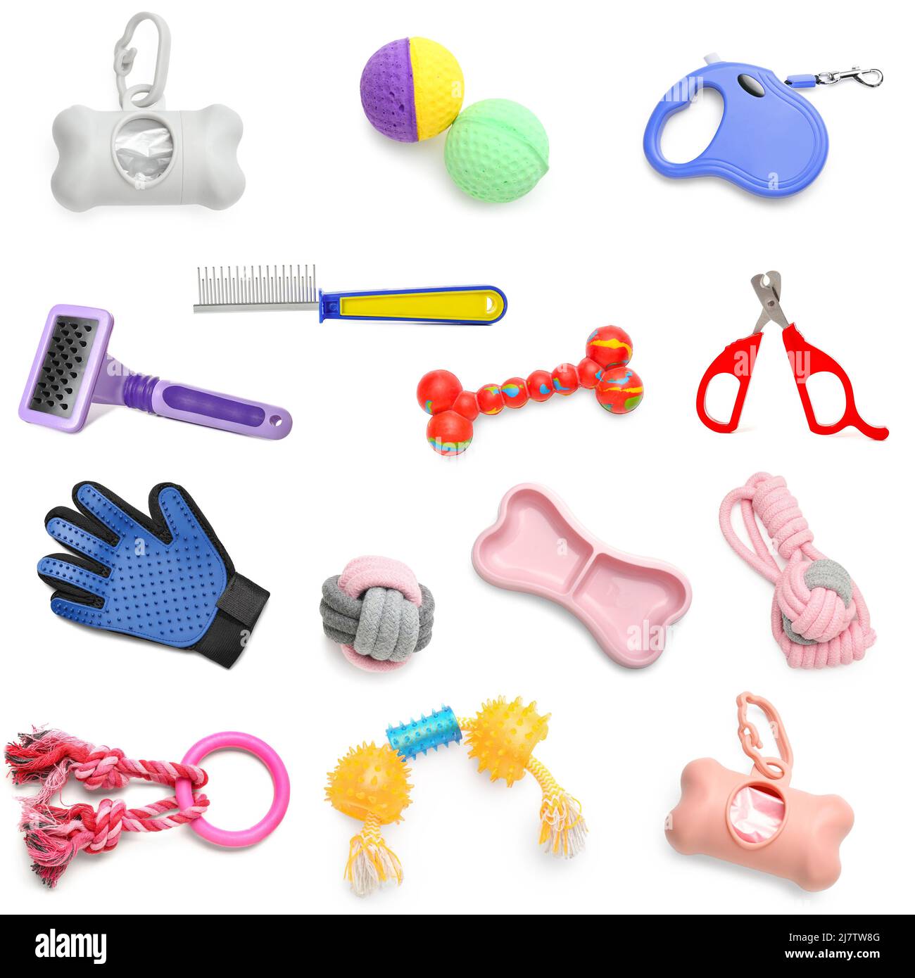 Set of different pet accessories on white background Stock Photo - Alamy