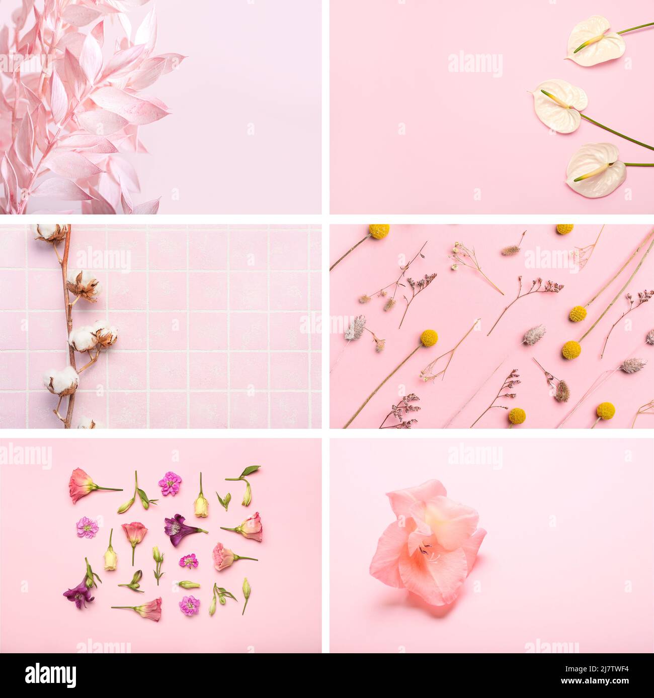 Collage of photos in pink colors Stock Photo - Alamy