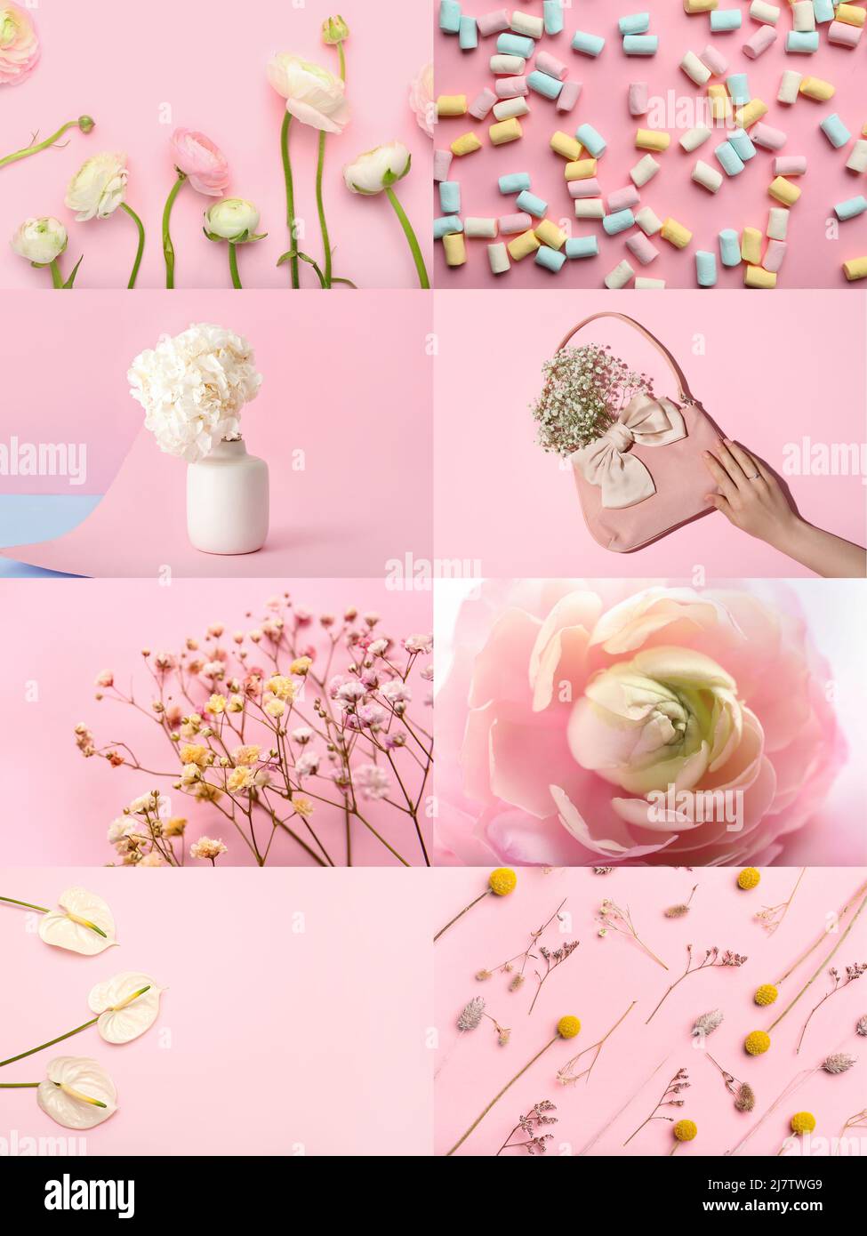 Collage of photos in pink colors Stock Photo - Alamy