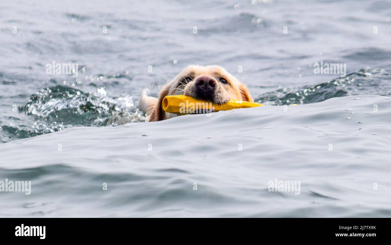 Vault Beach 290422 Stock Photo - Alamy