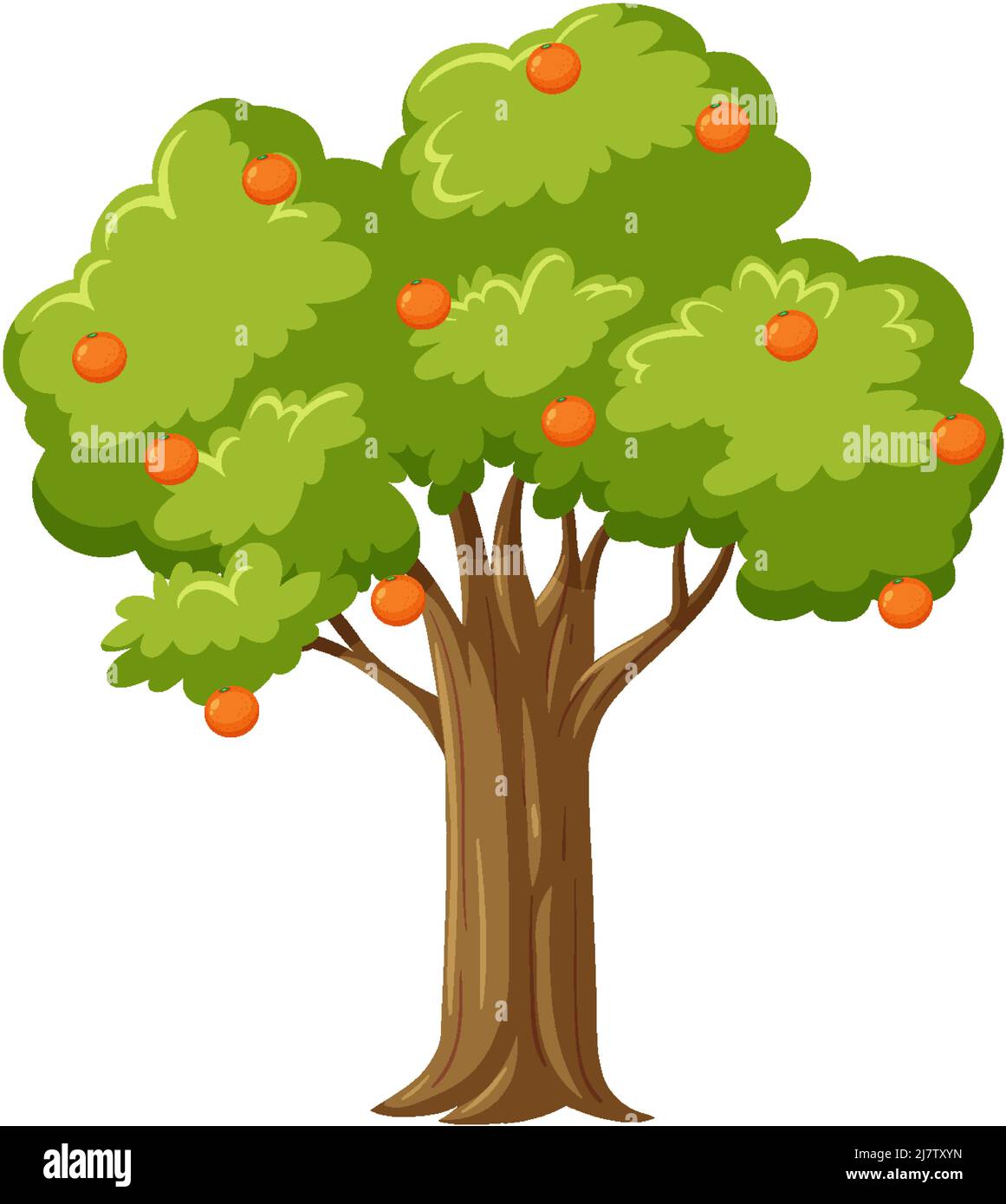 Isolated orange tree in cartoon style illustration Stock Vector Image ...
